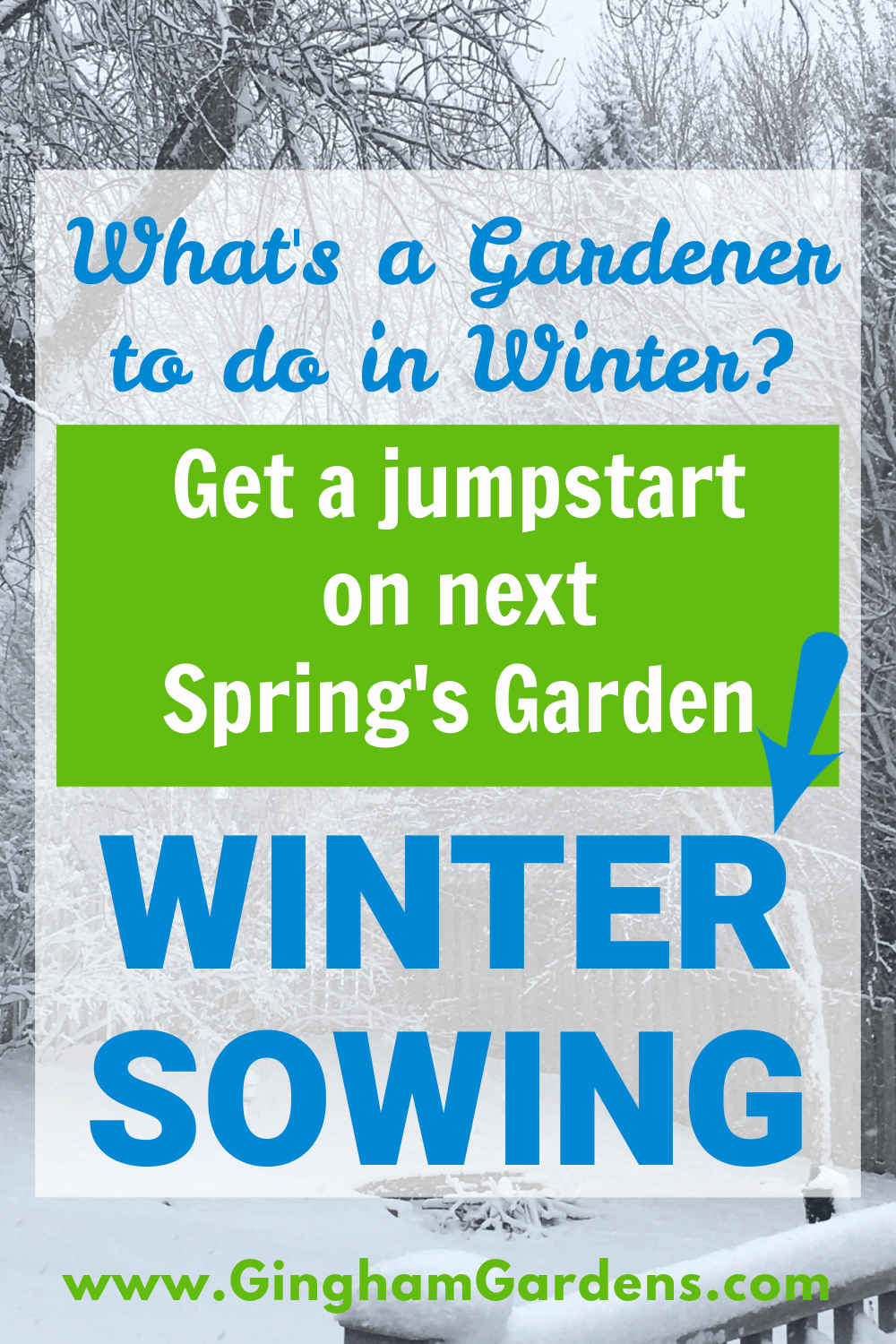 Winter Sowing (Yes You Can Garden in Winter) - Gingham Gardens