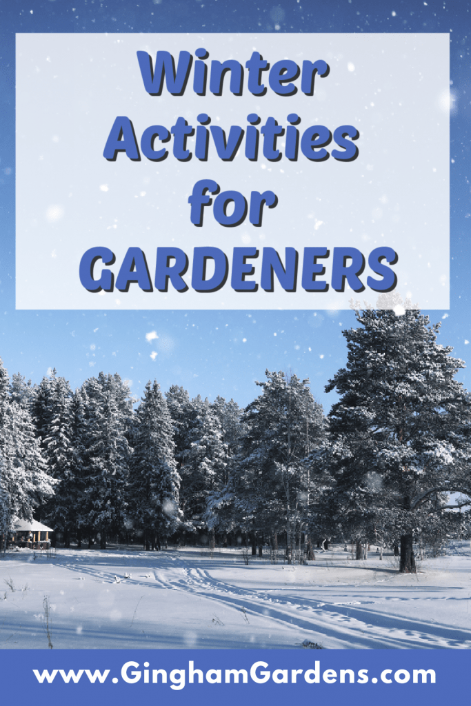 13 Winter Activities for Gardeners - Gingham Gardens