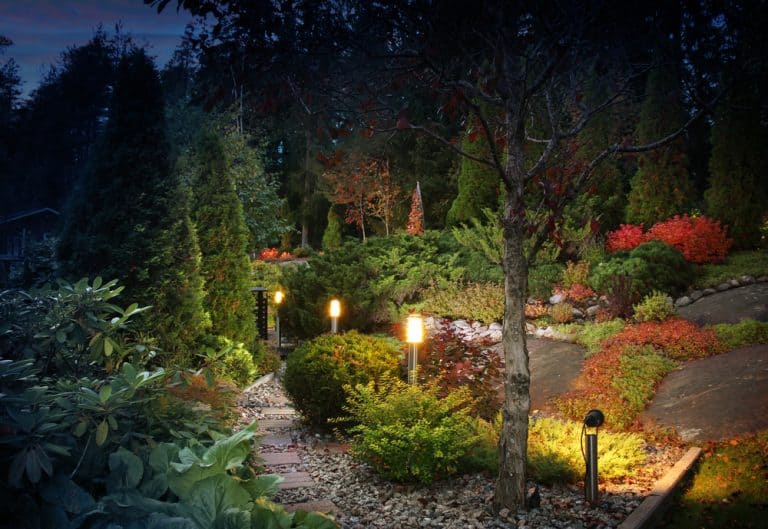Ideas for Nighttime Gardens - Gingham Gardens