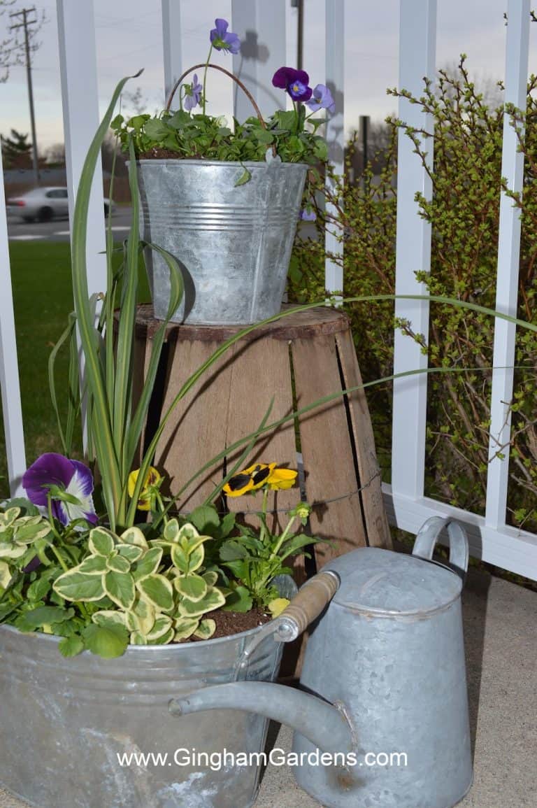 Early Spring Flower Garden Ideas - Gingham Gardens