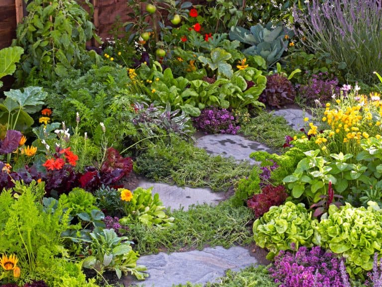 Free Gardening Printables - Gingham Gardens