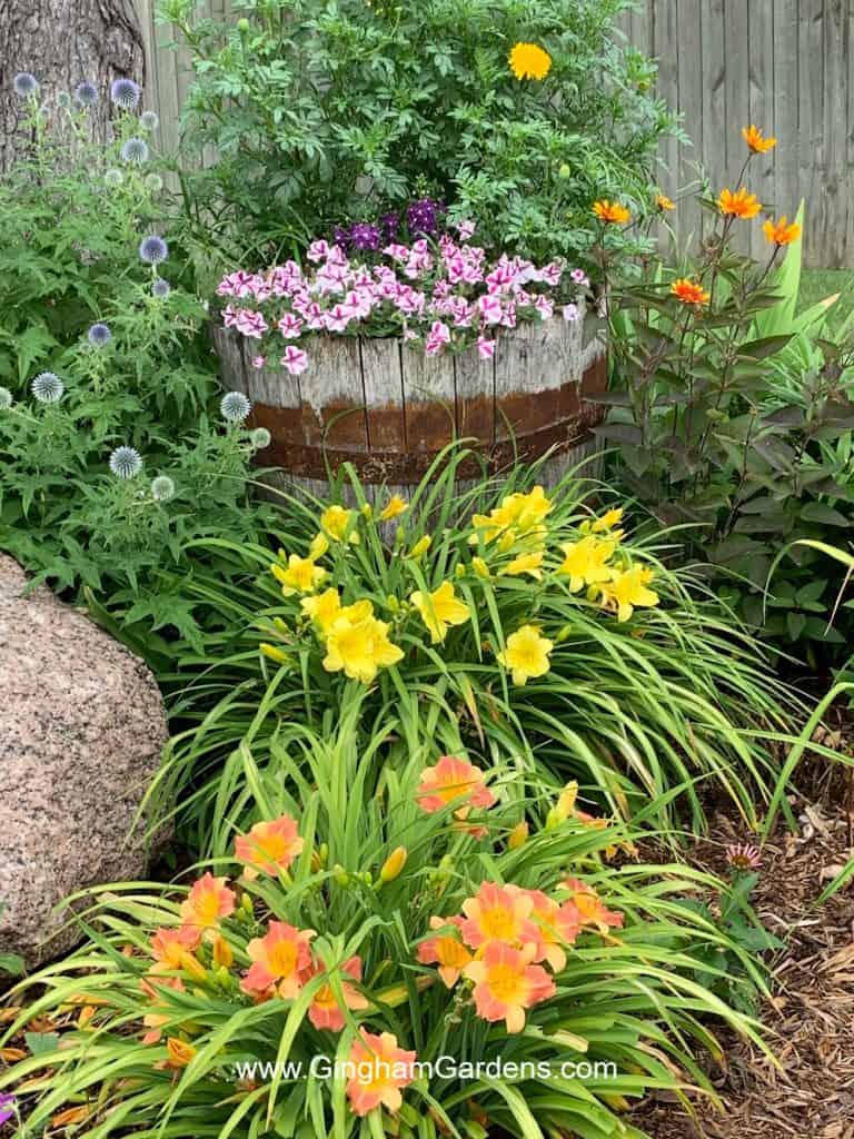 How to Make a Tree Stump Planter (Lots of Creative Ideas) - Gingham Gardens