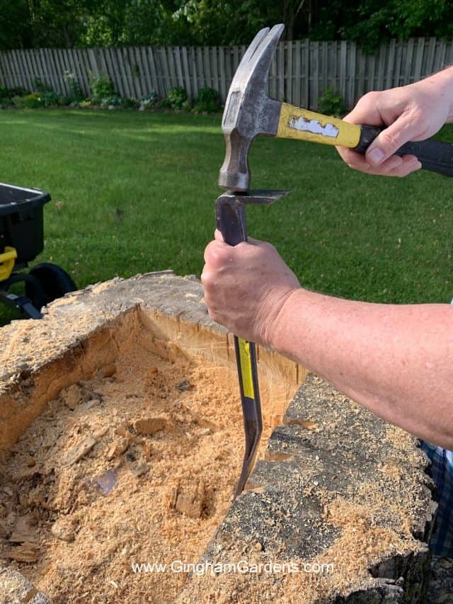How to Make a Tree Stump Planter (Lots of Creative Ideas) - Gingham Gardens