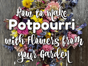 How to Make Potpourri Using Flowers From Your Garden - Gingham Gardens