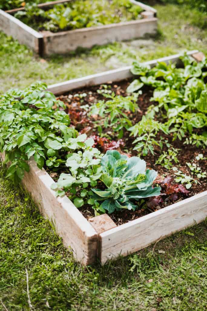 How to Plan Your Next Garden Project (An Easy Step-by-Step Guide ...
