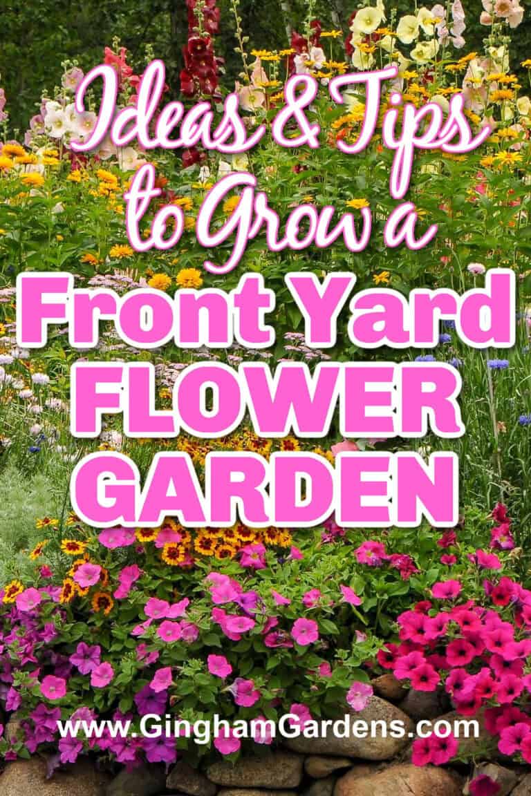 Growing a Front Yard Flower Garden (Tips & Ideas) - Gingham Gardens