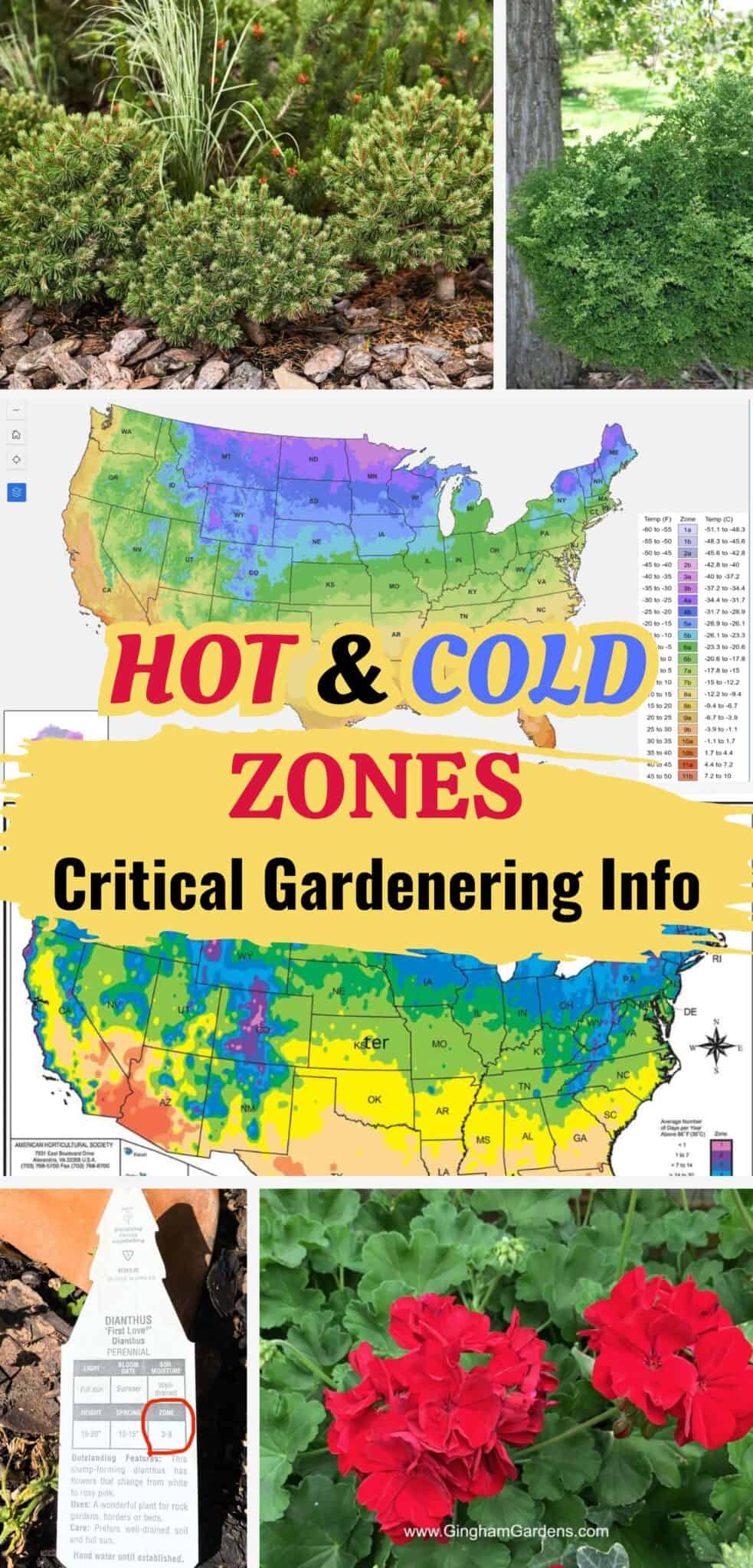 Cold Versus Heat Tolerance in Plants