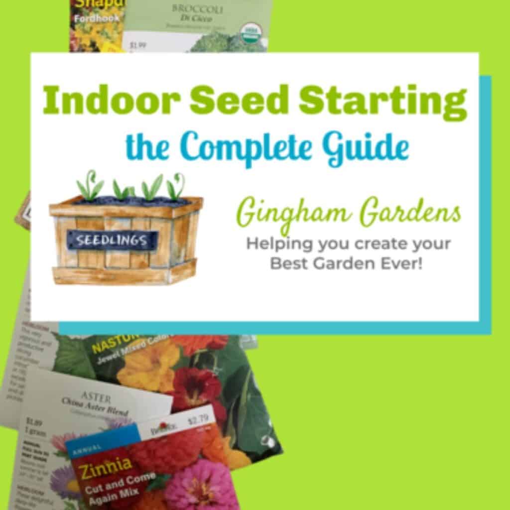 Seed Starting Indoors - Gingham Gardens