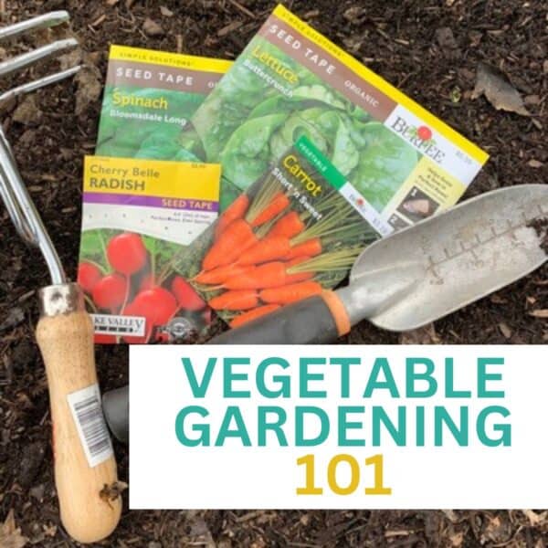 Vegetable Gardening 101 - Gingham Gardens
